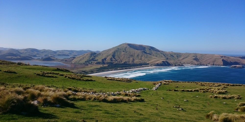 Discover Oceania - Travolution360